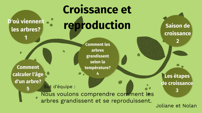 Reproduction et croissance des arbres by Joliane Brin on Prezi