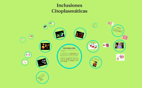 Inclusiones Citoplasmaticas by Alia Bm on Prezi