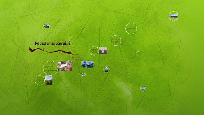 Povestea succesului by Alexandru Nedelcu on Prezi