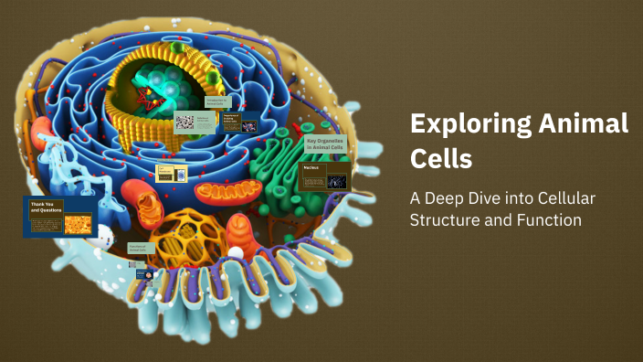 Exploring Animal Cells by toto ol on Prezi