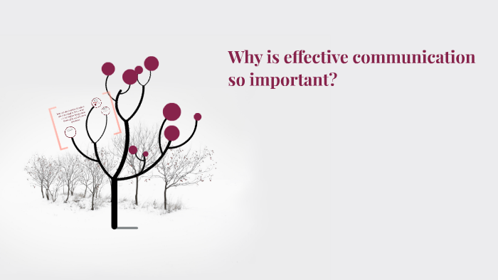 Why Is Effective Communication So Important By Sophie Bonham why-is-effective-communication-so-important-by-sophie-bonham
