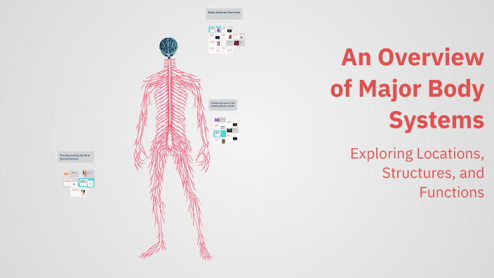 An Overview of Major Body Systems by Laila Cartmill on Prezi
