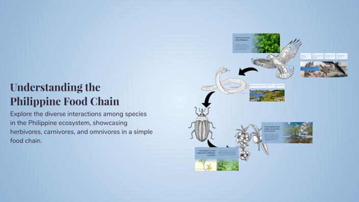 Understanding the Philippine Food Chain by Janine Magtoto on Prezi
