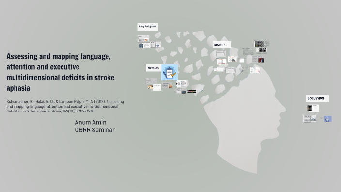Assessing and Mapping Multidimensional Deficits in Stroke Aphasia by ...