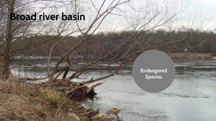 Broad river basin by Taylor Todd on Prezi