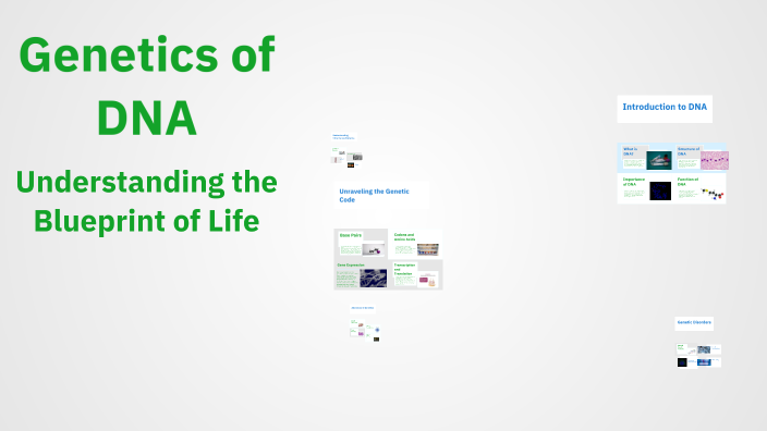 Genetics of DNA by Kelvin Inoa veras on Prezi
