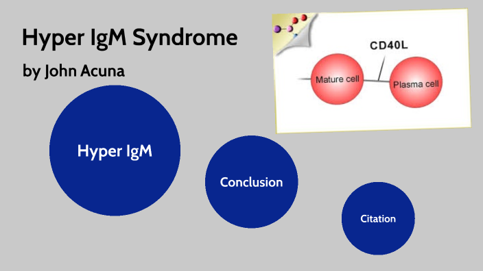 Hyper Igm Syndrome By John Acuna On Prezi