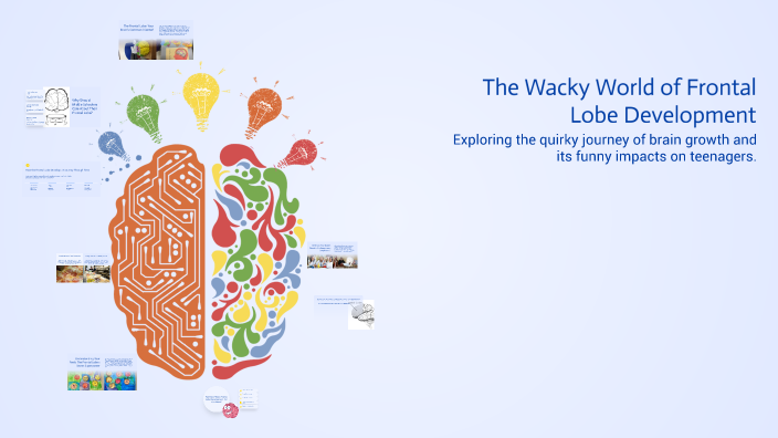 The Wacky World of Frontal Lobe Development by Melisha Miller on Prezi