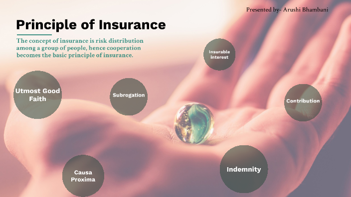 Principle of Insurance by Arushi Bhambani on Prezi