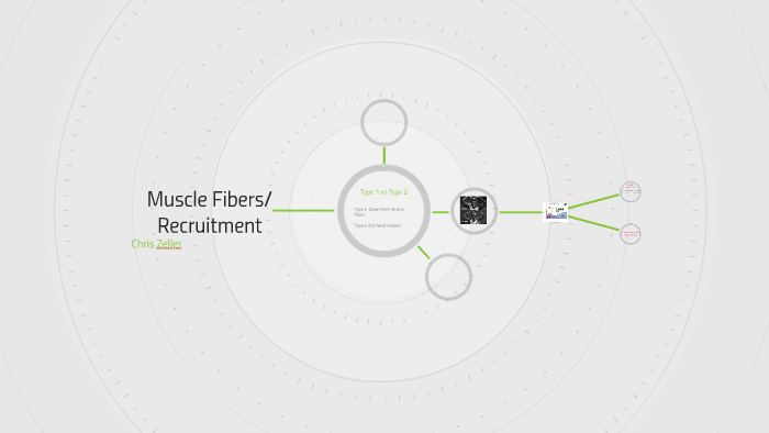 Muscle Fibers/Recruitment by Chris Zeller on Prezi
