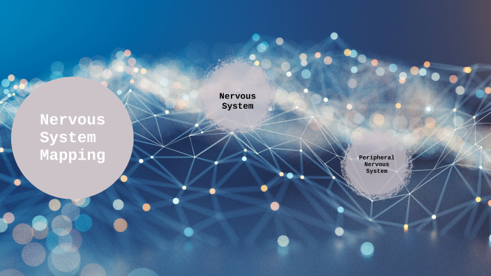 Nervous System Mapping by AUTUMN HEINBAUGH on Prezi
