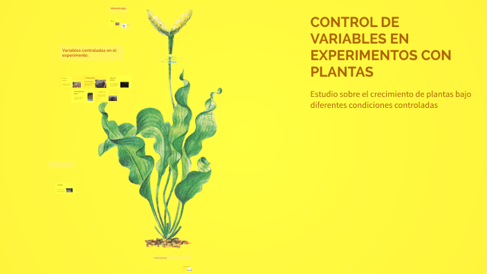 CONTROL DE VARIABLES EN EXPERIMENTOS CON PLANTAS by Axel Ramirez on Prezi