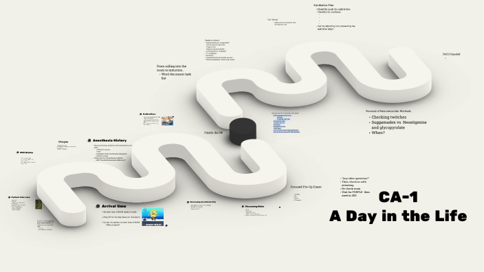 by Chelsey Thomas on Prezi