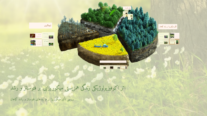 اثر اکوفیزیولوژیکی زندگی همزیستی میکوریزایی بر فتوسنتز و رشد by ...