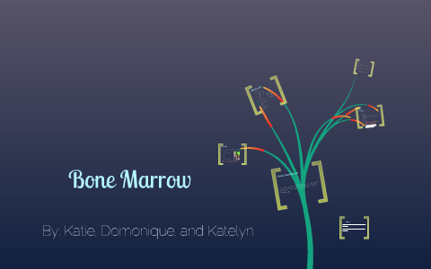 Bone Marrow by Katie T on Prezi