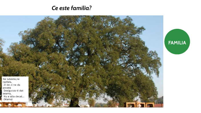 Ce este familia? by Bîrca Maxim on Prezi