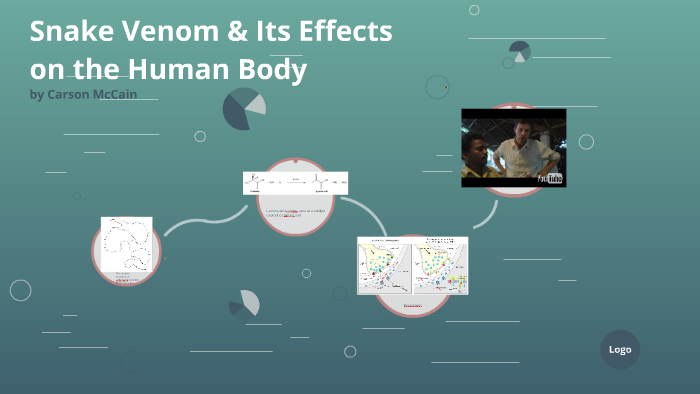 Snake Venom & Its Effects on the Human Body by Carson McCain on Prezi