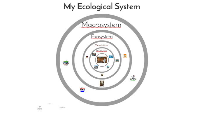 Macrosystem by Kayla C. on Prezi