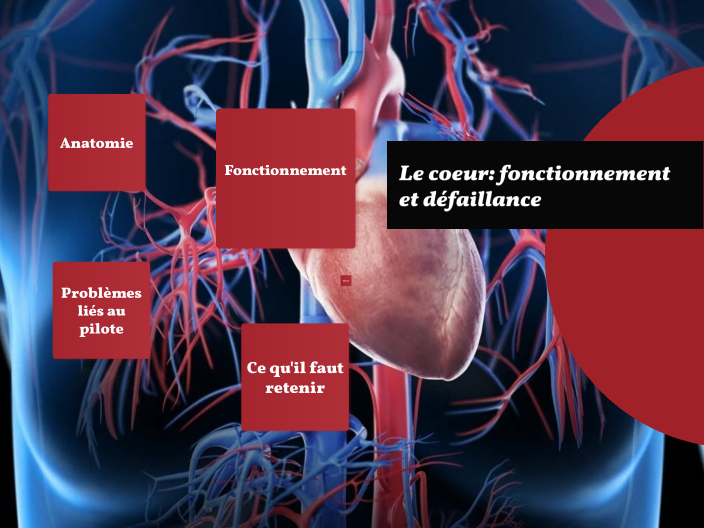 Le coeur: fonctionnement et défaillance by Lucas DELCROIX on Prezi