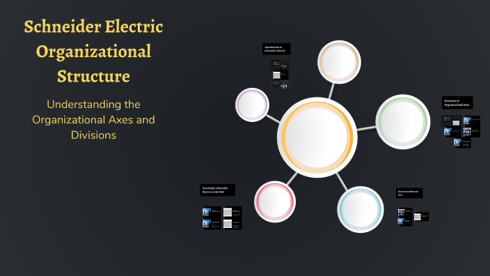 Schneider Electric Organizational Structure by ali ashraf on Prezi