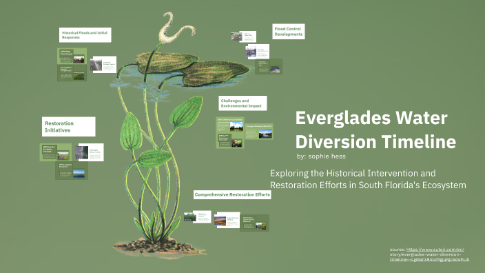 Everglades Water Diversion Timeline by Sophie Hess on Prezi