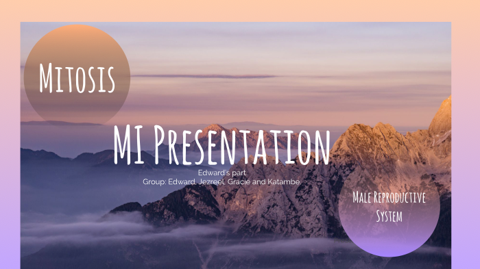 MI Presentation by Edward Naidoo on Prezi