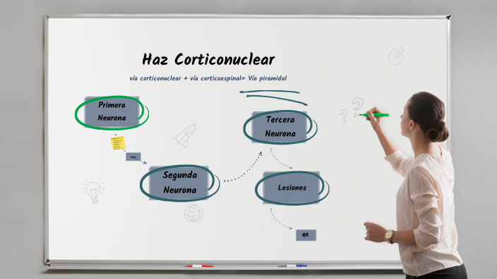Via Corticonuclear by Valentin VERRA on Prezi