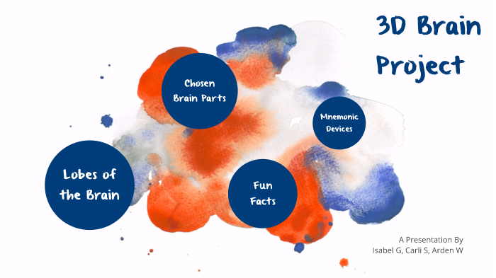 3D Brain Project by Arden Washington on Prezi