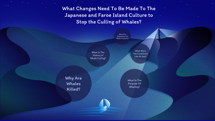 Whale Culling by Bridie Lewis on Prezi