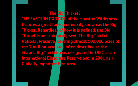 The Big Thicket by Alia Duncan on Prezi