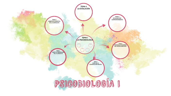 PSICOBIOLOGÍA I by aida frias on Prezi