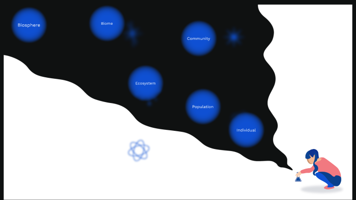 Sproul Ecosystem by Cameron Reimers on Prezi