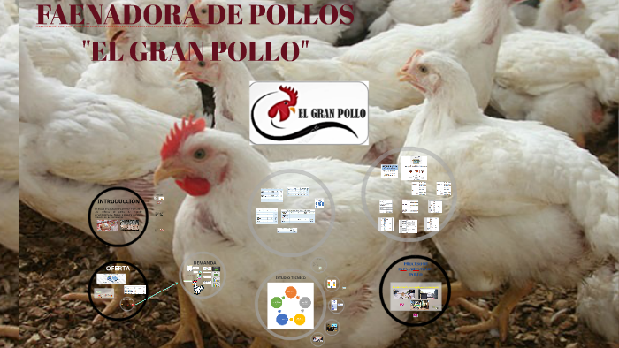 FAENADORA DE POLLOS by Enrique Pérez Mero on Prezi