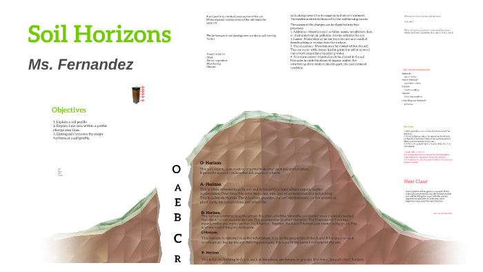 Soil Horizons by Katherine Fernandez on Prezi