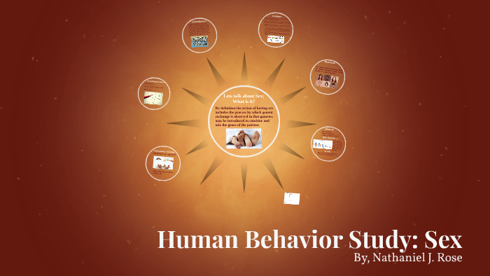 Human Behavior Study: Sex by Nate Rose on Prezi