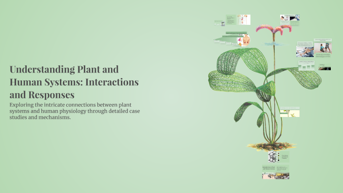Understanding Plant and Human Systems: Interactions and Responses by ...