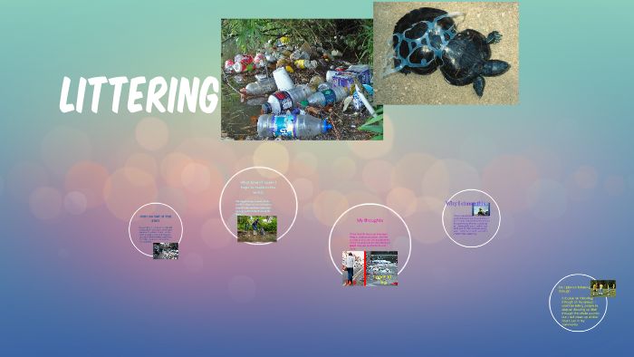 Littering (a problem in the world) by Abigail Stubbs on Prezi