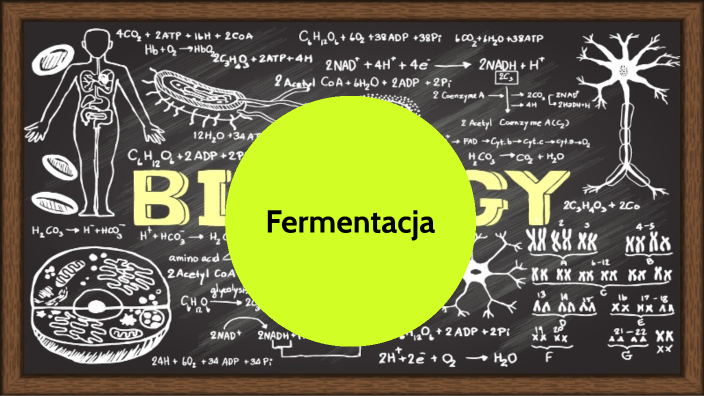 fermentacja by Wojciech Budziński on Prezi