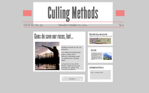 Culling Methods by Hannah Bahls