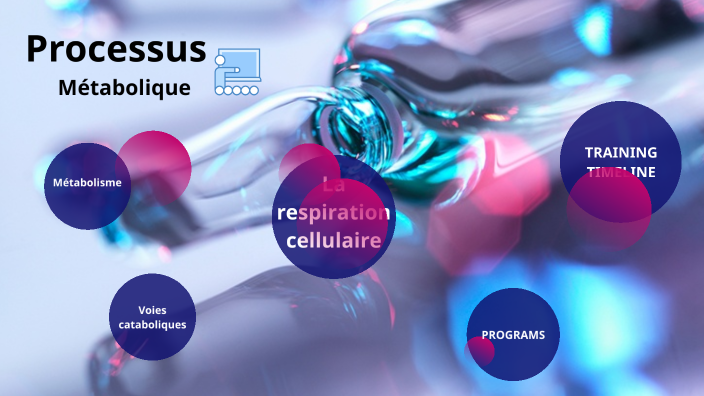 Unité 2 - Processus métabolique by Mattea Anne Abou Faical on Prezi