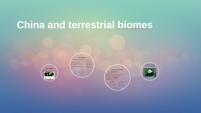 China and terrestrial biomes by Brian Macedo on Prezi