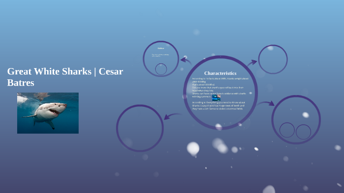 Great White Sharks | Cesar Batres by Heather Miller on Prezi