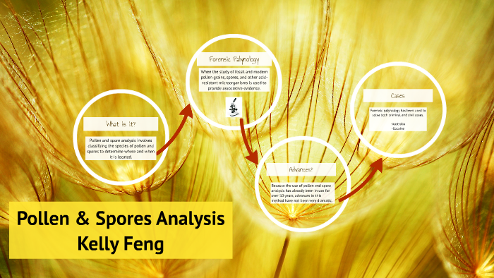 Pollen & Spores Analysis by Kelly Feng on Prezi