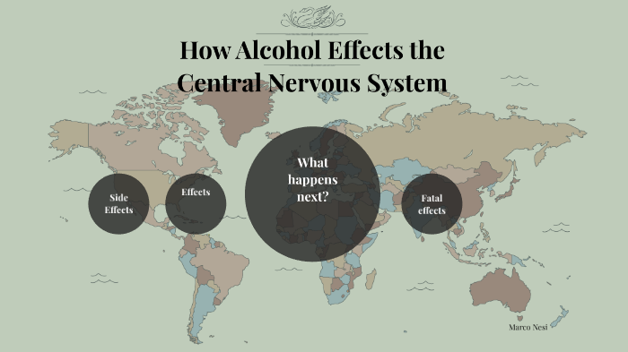 How Alcohol Effects the Central Nervous System by M N on Prezi