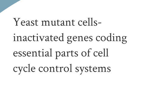 Control of Cell Cycle Checkpoints by Matthew Worby on Prezi