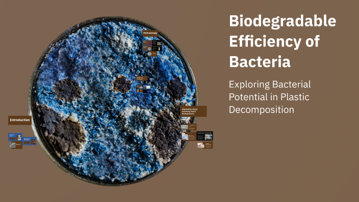 Biodegradable Efficiency of Bacteria by Yugendiran M.S on Prezi