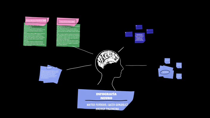 INFOGRAFÍA NEURO by Mateo Ferrero Cubo on Prezi