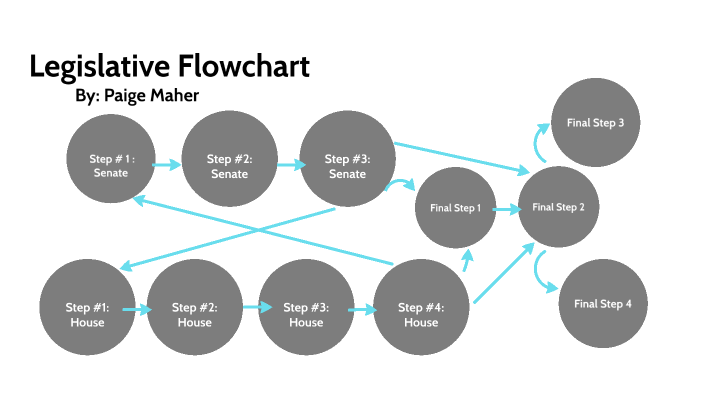 Legislative Flowchart by Paige Maher on Prezi