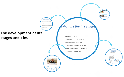 The development of life stages and pies by on Prezi