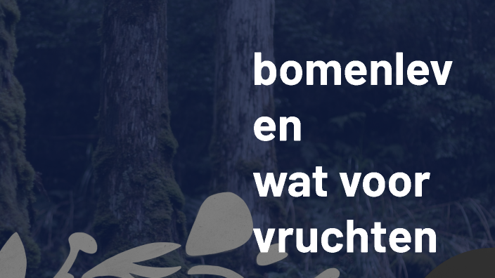 Understanding Trees by iebe vermeulen on Prezi